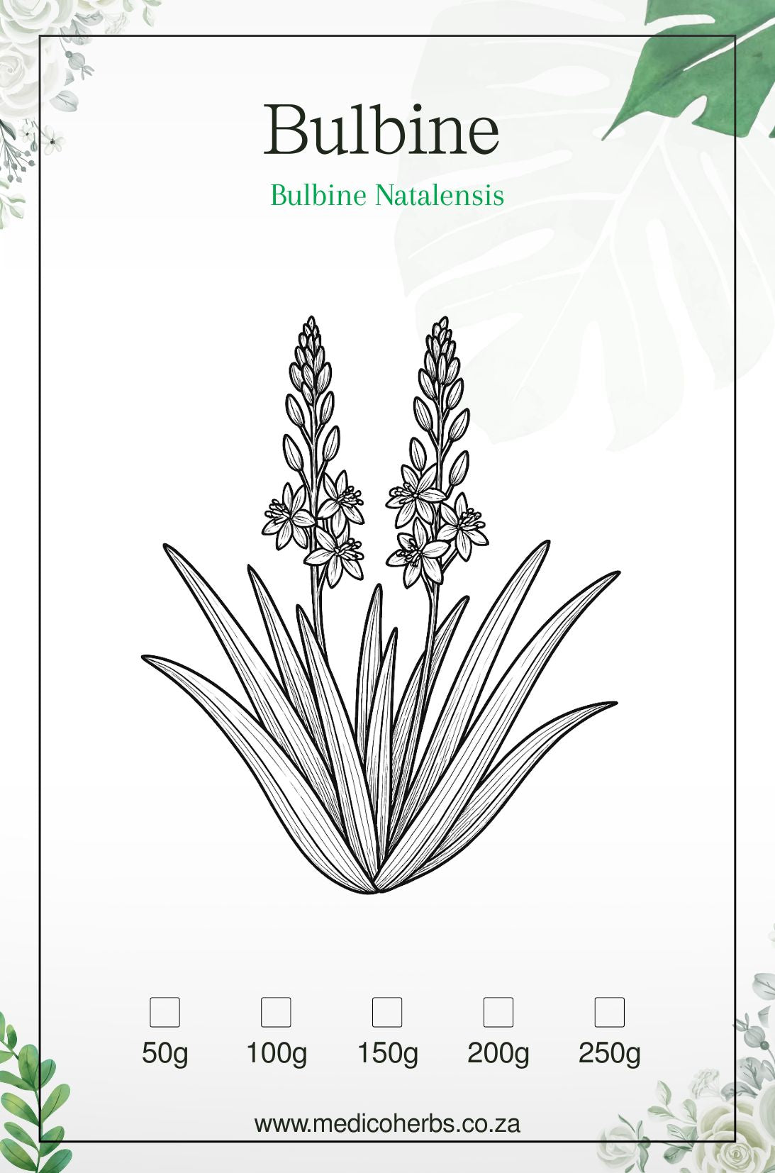 Bulbine Natalensis powder