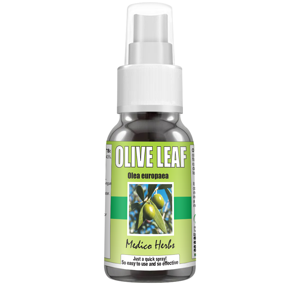 Olive Leaf