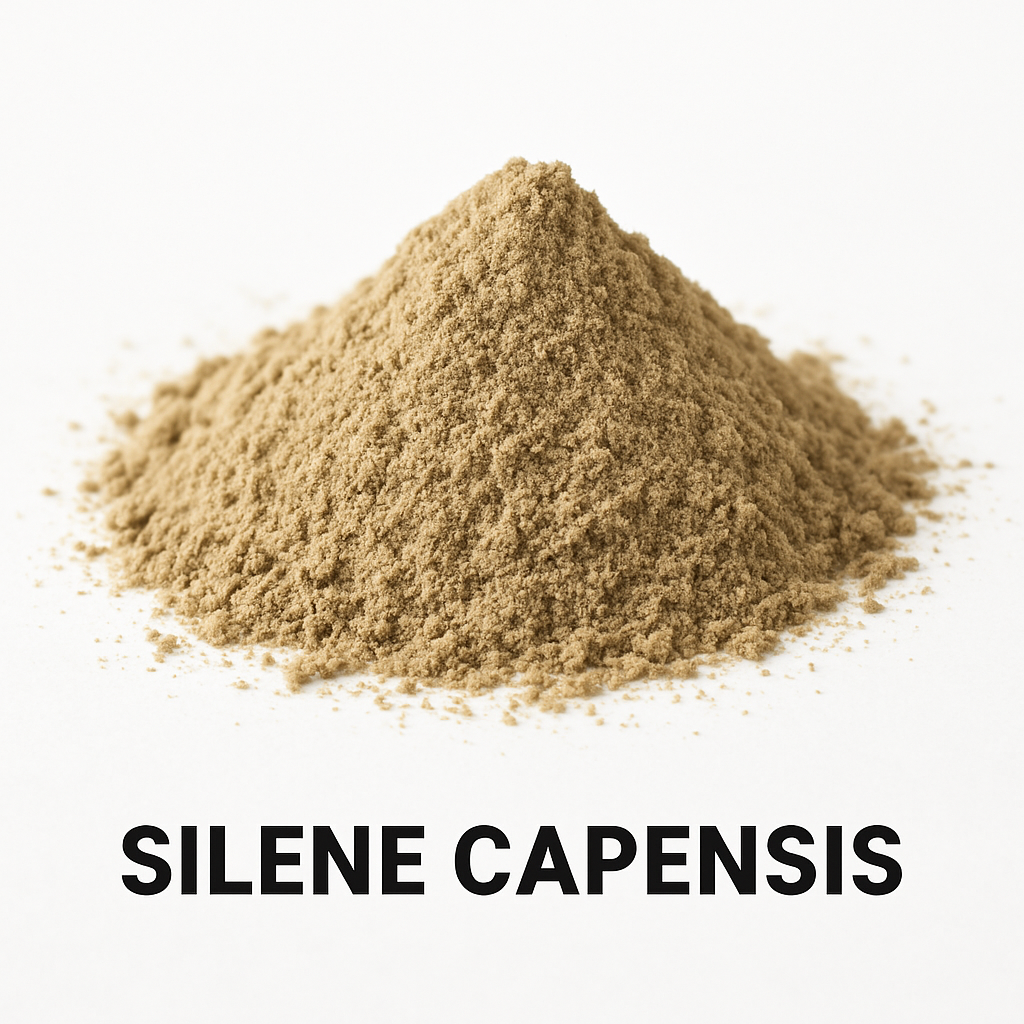 Silene Capensis Powder – African Dream Root | 100% Natural 100g