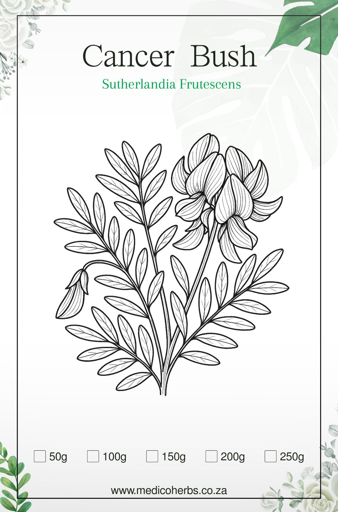 Sutherlandia Tea Cut 100g