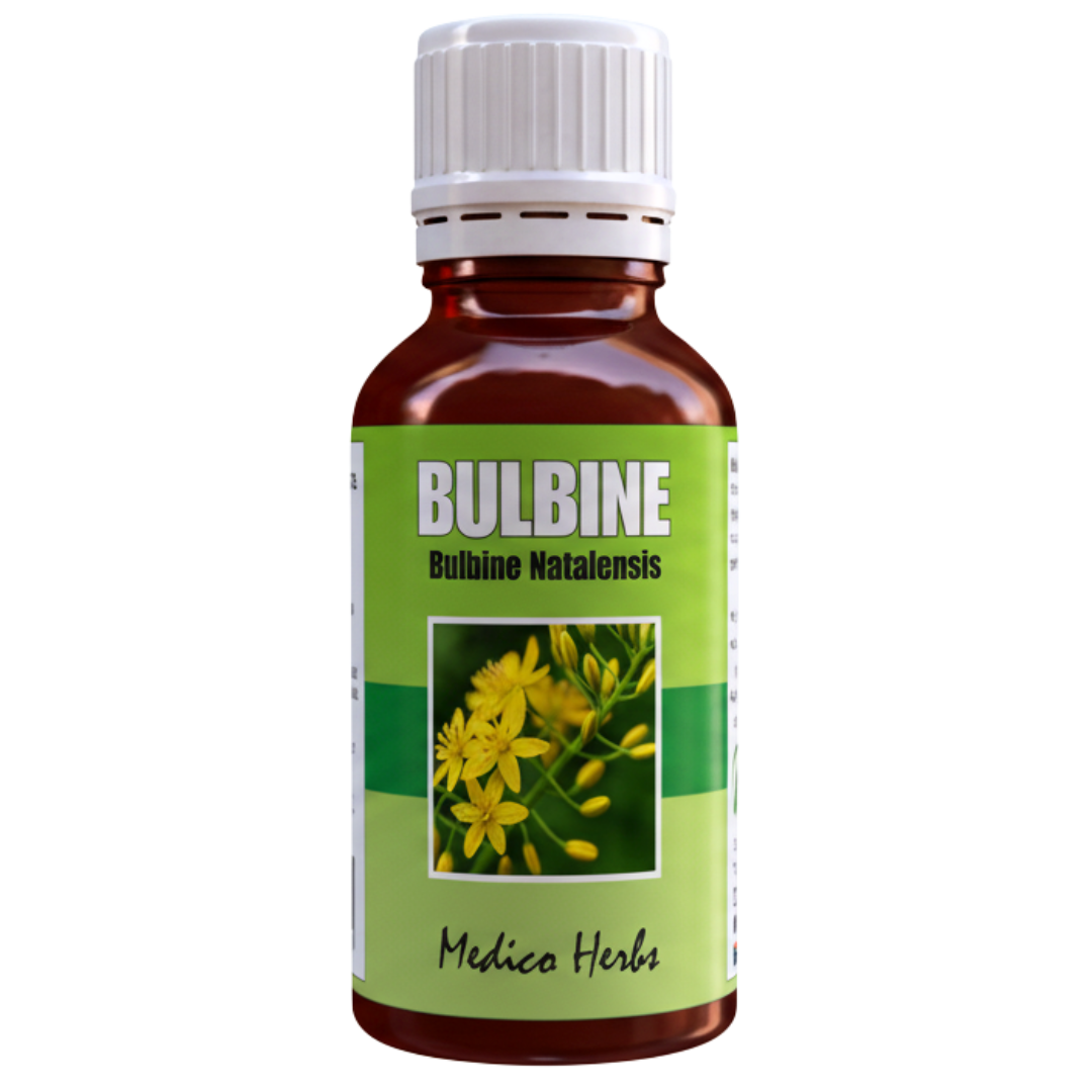 Bulbine natalensis Rooiwortel