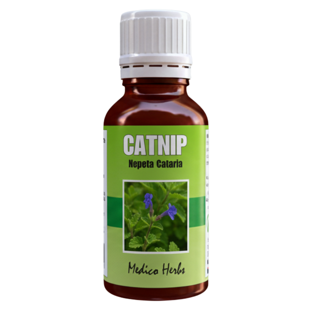 Catnip Drops (Nepeta Cataria) 50ml