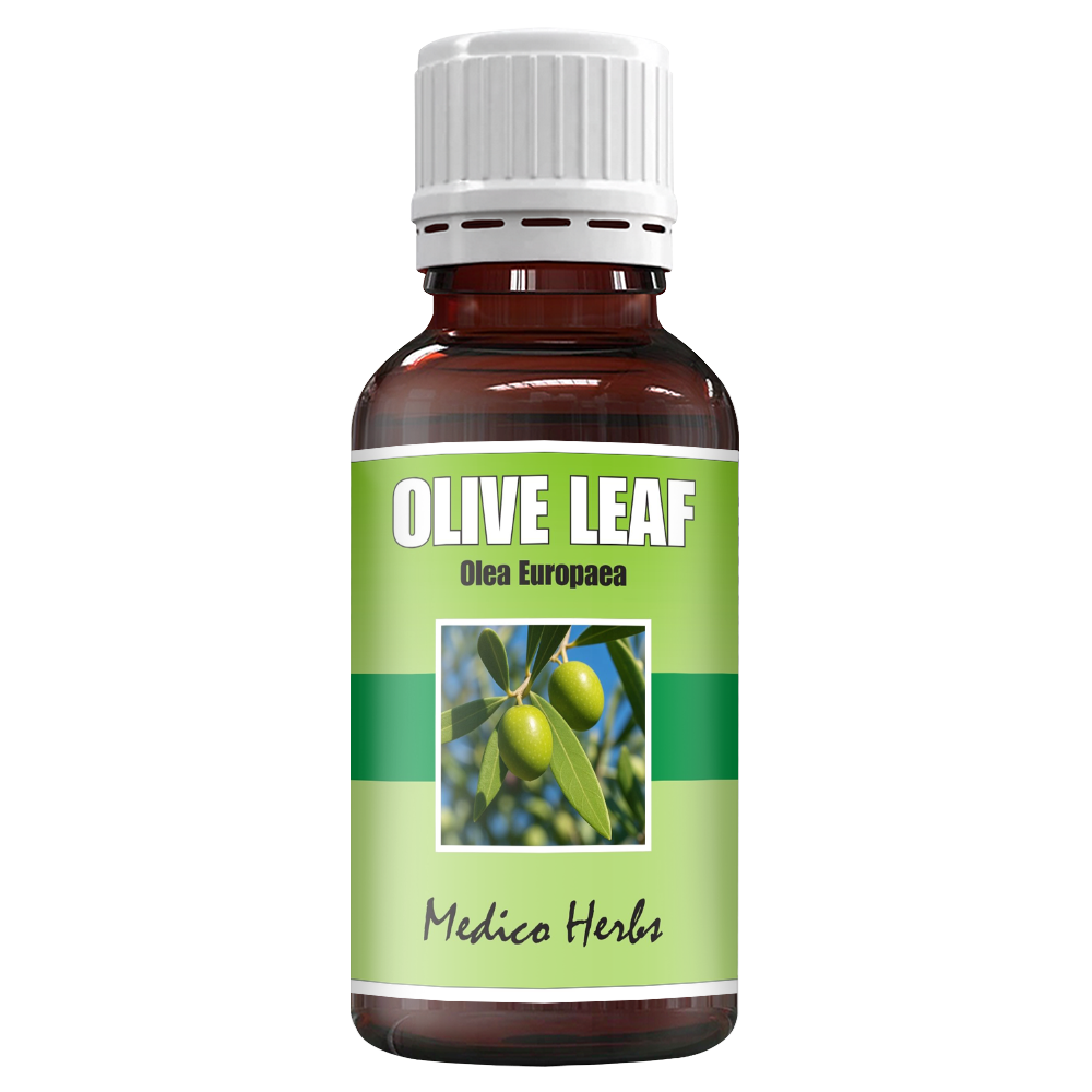 Olive Leaf Cold Pressed Drops (Olea Europaea) 50ml