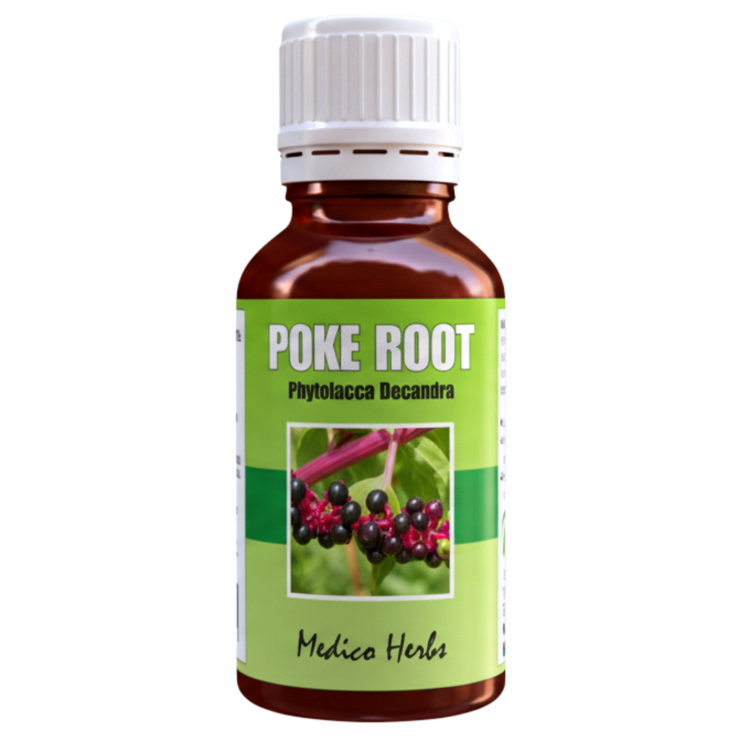 Poke Root Drops (Phytolacca Decandra) 50ml