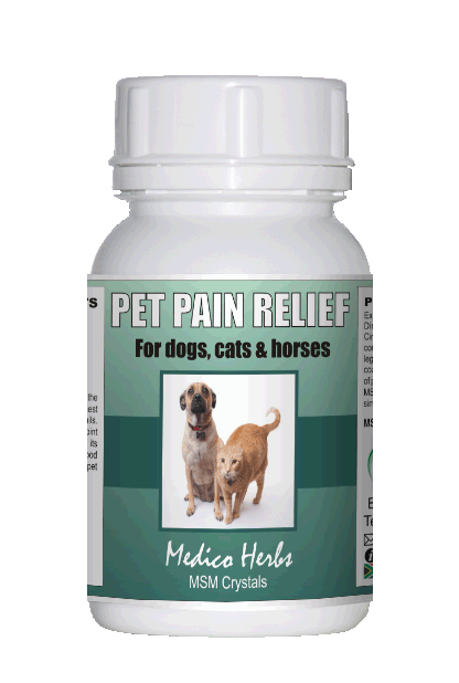 Natural remedies for pets