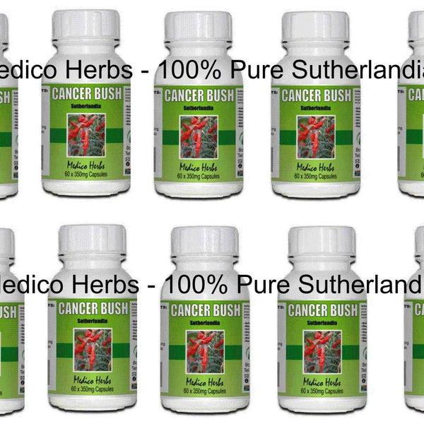 Medico Herbs Cancer Bush Sutherlandia Frutescens 60 X 350, 59% OFF